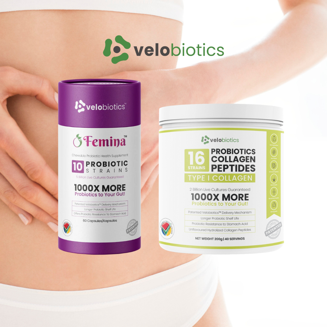 Velo16 Probiotic Digestive Capsules - Boost Gut Health & Immunity ...