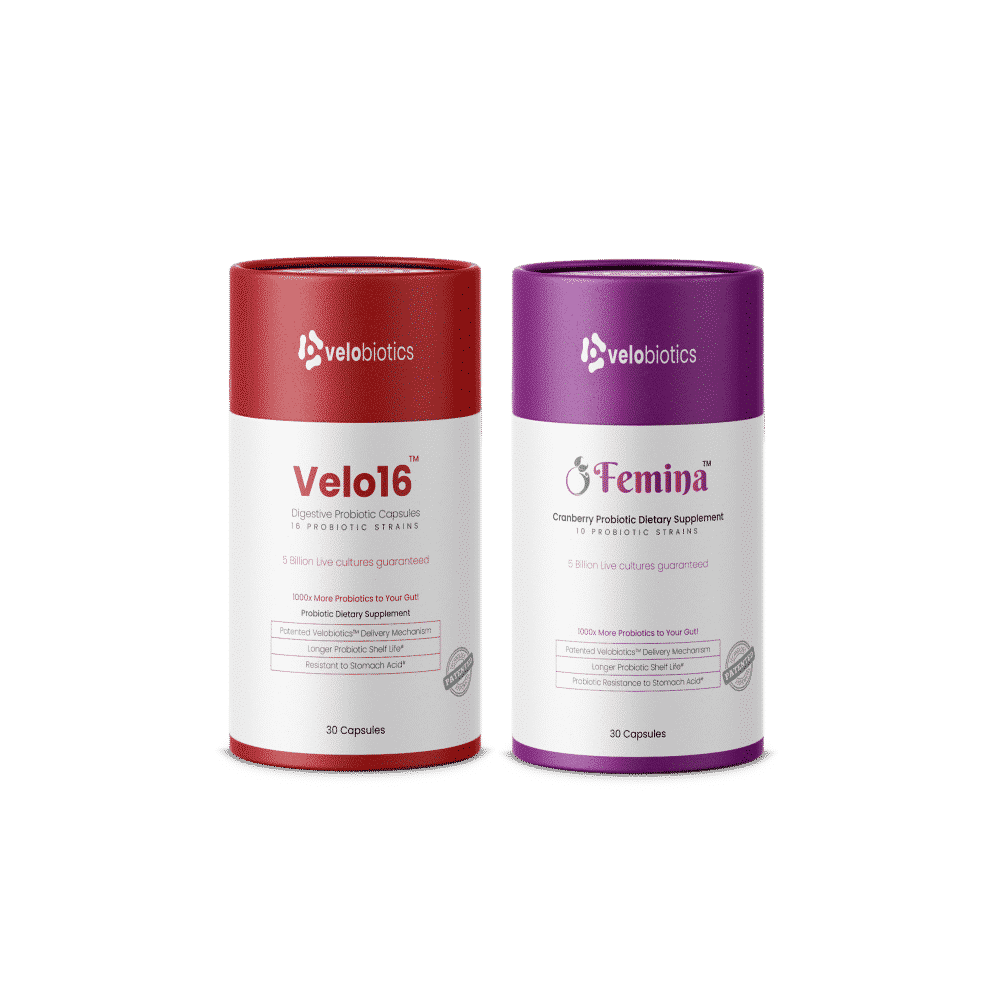 GutBundle Couple Pack - Probiotic Value Pack – Velobiotics South Africa
